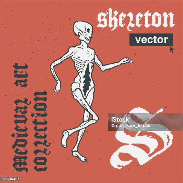 Skeleton Vector Engraving Style Illustration Medieval Art With