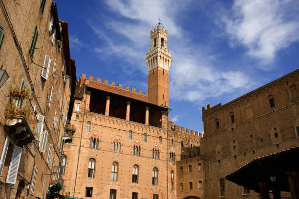 Pubblico Pictures | Download Free Images on Unsplash