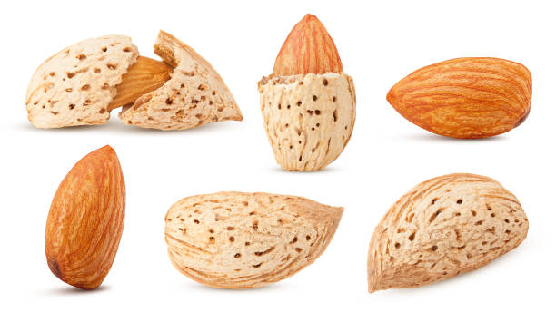 750+ Almond Pictures [HQ] | Download Free Images on Unsplash