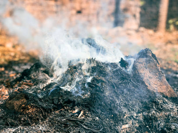 Free picture: firefighter, fire, field, smoke