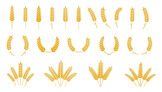 Ilustración de Logotipos De Coronas De Trigo Iconos De Espiga De Trigo ... Ilustración de Logotipos De Coronas De Trigo Iconos De Espiga De Trigo ...