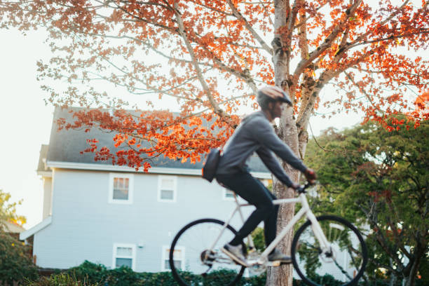 Free Stock Photo of Man Riding Bike Up Tree | Download Free Images and ...
