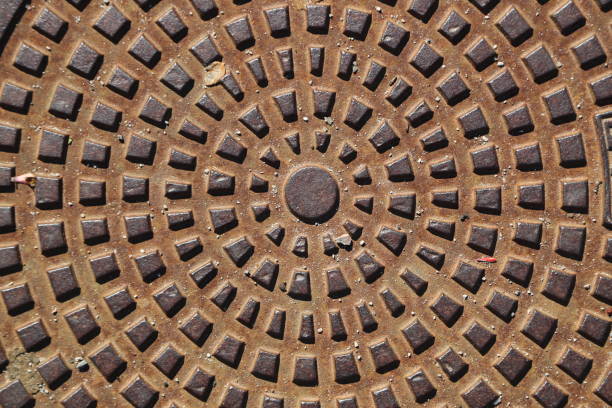 Free picture: Green cast iron grid of manhole cover with dry leaves