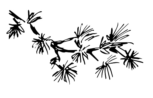 Dessin Vectoriel De Contour Noir Simple Une Branche Luxuriante Dun