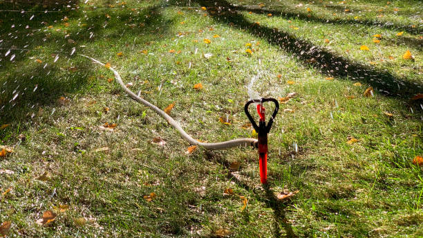 Free Stock Photo of Sprinklers on a lawn with trees | Download Free ...