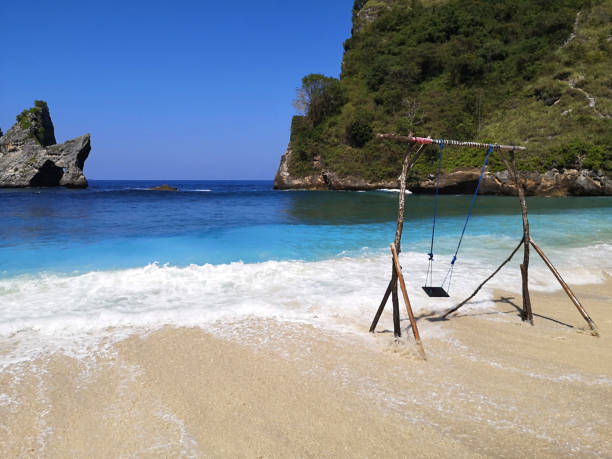 Bali Swing Pictures | Download Free Images on Unsplash