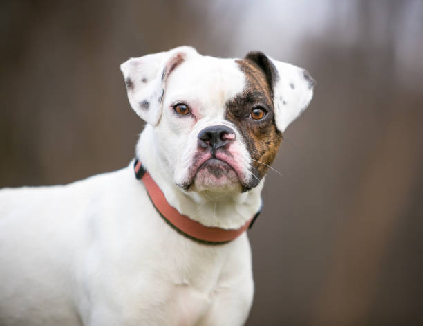 Grumpy Pictures | Download Free Images on Unsplash
