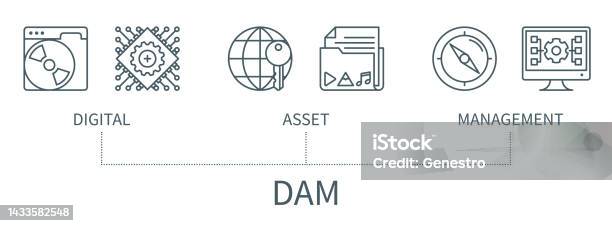 Digital Asset Management Vector Infographic In Minimal Outline Style