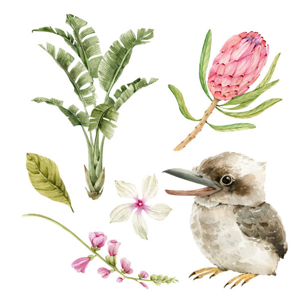 12 800 Herbarium Ilustrasi Grafik Vektor And Clip Art Bebas Royalti