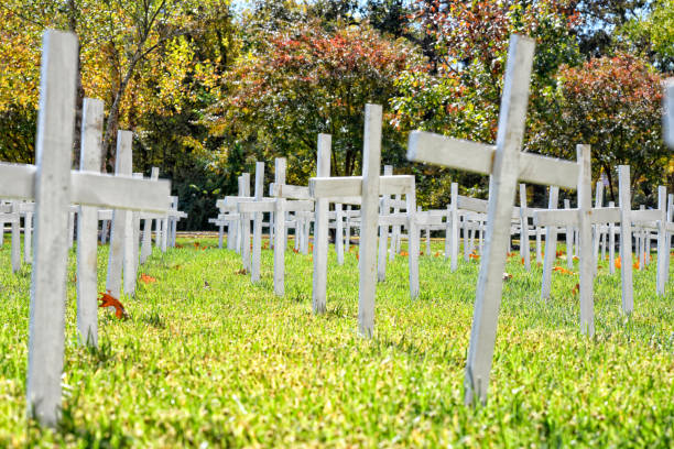 Free Stock Photo of A group of white crosses in a field | Download Free ...