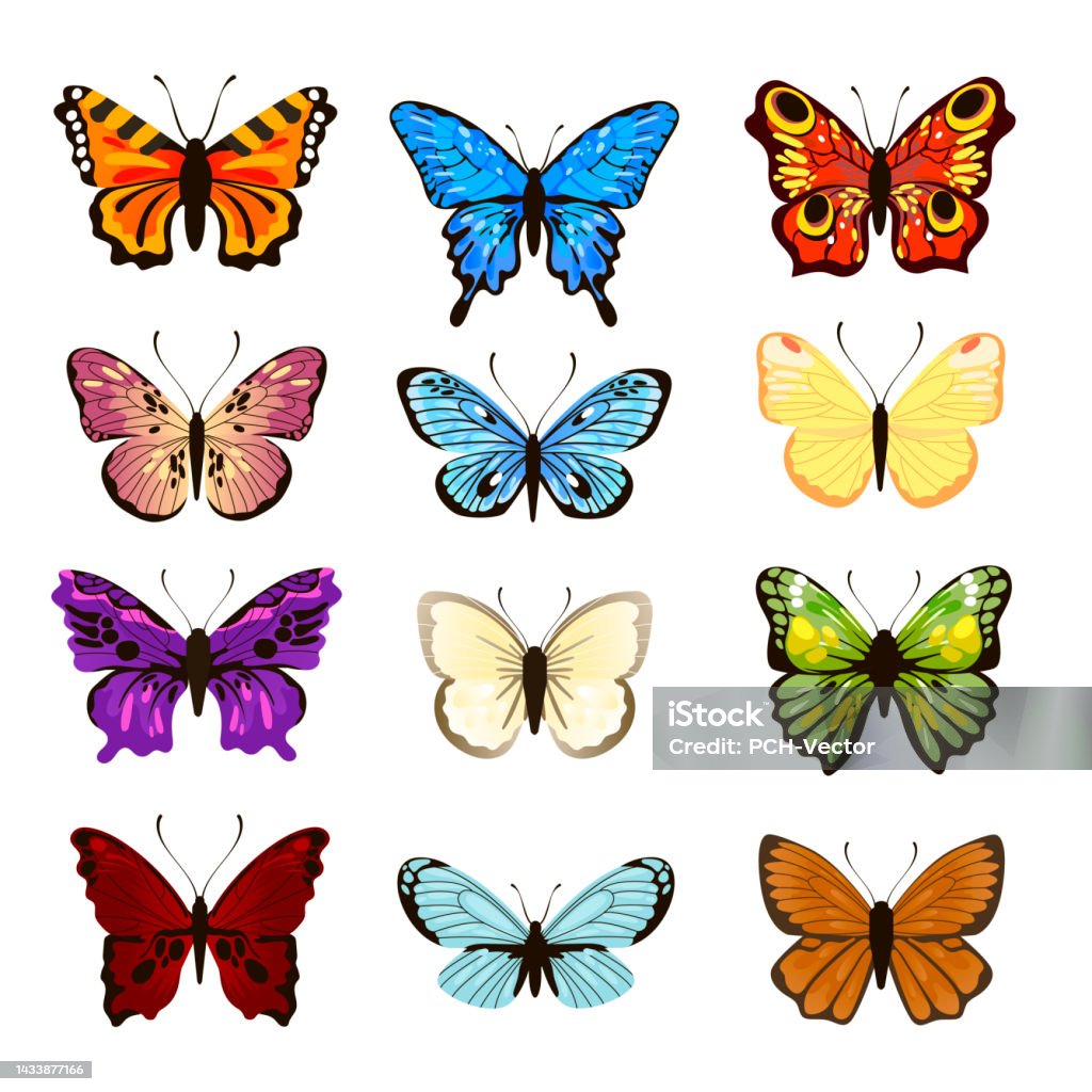 Ilustración de Acuarela Conjunto De Mariposas y más Vectores Libres de ... Ilustración de Acuarela Conjunto De Mariposas y más Vectores Libres de ...