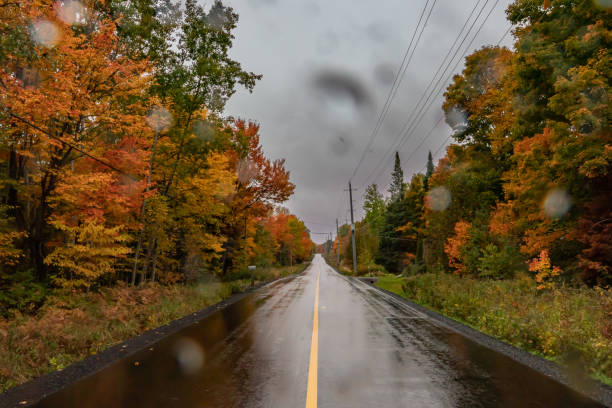 Autumn Road Pictures | Download Free Images on Unsplash