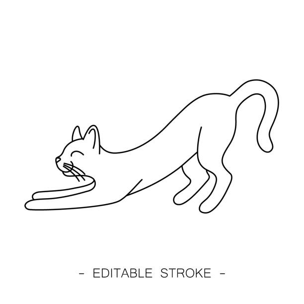 130 Cat Arching Back Stock Illustrations Royalty Free Vector Graphics