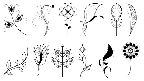 Abstrak Set Elemen Doodle Koleksi Gambar Tangan Botanic Herbal Flora Daun Cabang Vine Bunga