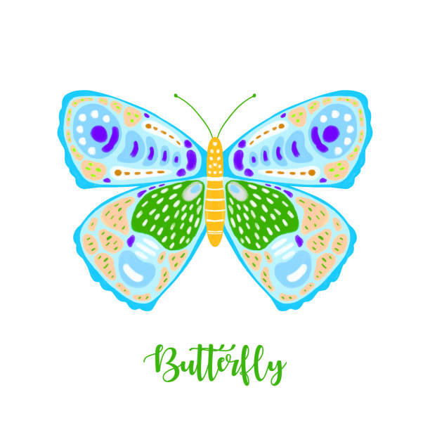 Corel Draw Clipart Butterfly
