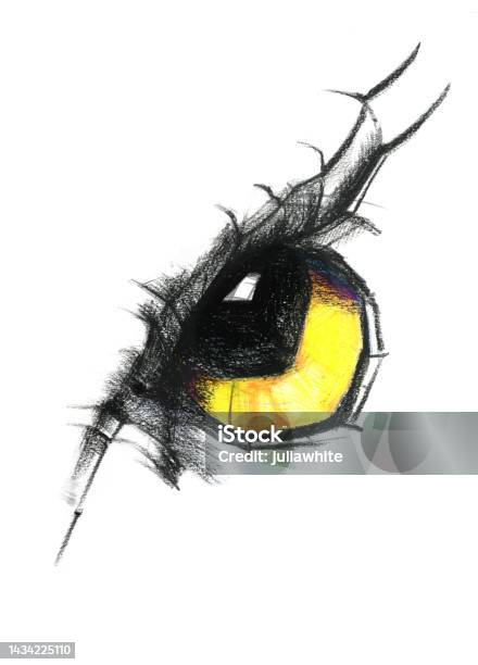 Œil Daigle Dessin Au Crayons De Couleur Isolé Sur Fond Blanc Vecteurs