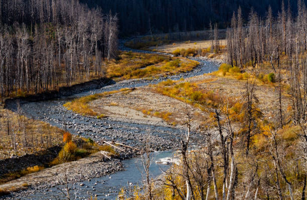 Free picture: river, sandbar