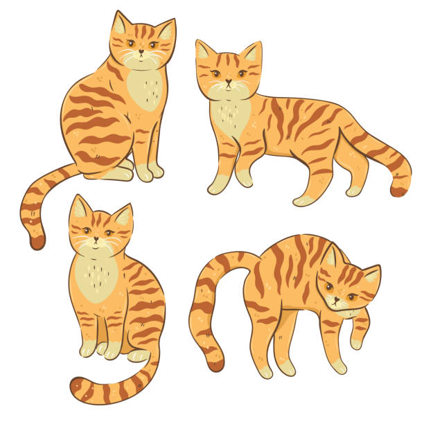 Explore 20+ Free Sand Cat Illustrations: Download Now - Pixabay