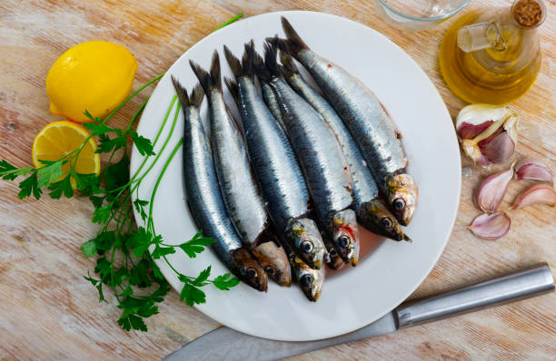 Sardines Pictures | Download Free Images on Unsplash
