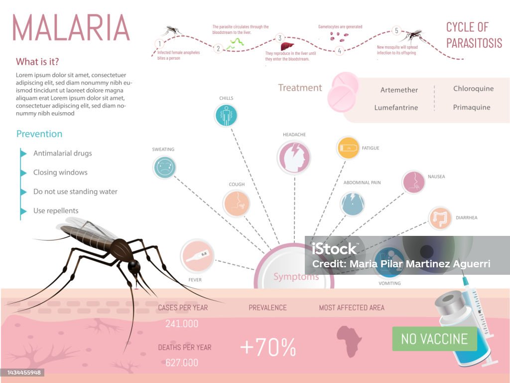 Infographic About Malaria What It Is Prevention Symptoms And Treatment ... Infographic About Malaria What It Is Prevention Symptoms And Treatment ...