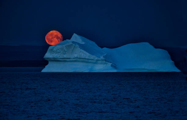 Free picture: Dark blue iceberg on arctic with twilight sky background