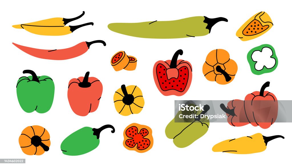 Set Of Pepper Sketch Red Hot Chili Peppers And Bell Peppers Sketch Illustration Pepper Drawing