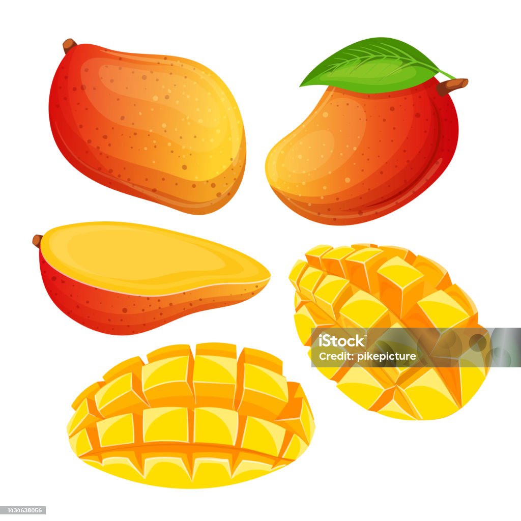 Stock Ilustrace Mango Ovoce Set Kreslený Vektor Ilustrace Stáhnout Obrázek Nyní Biopotravina