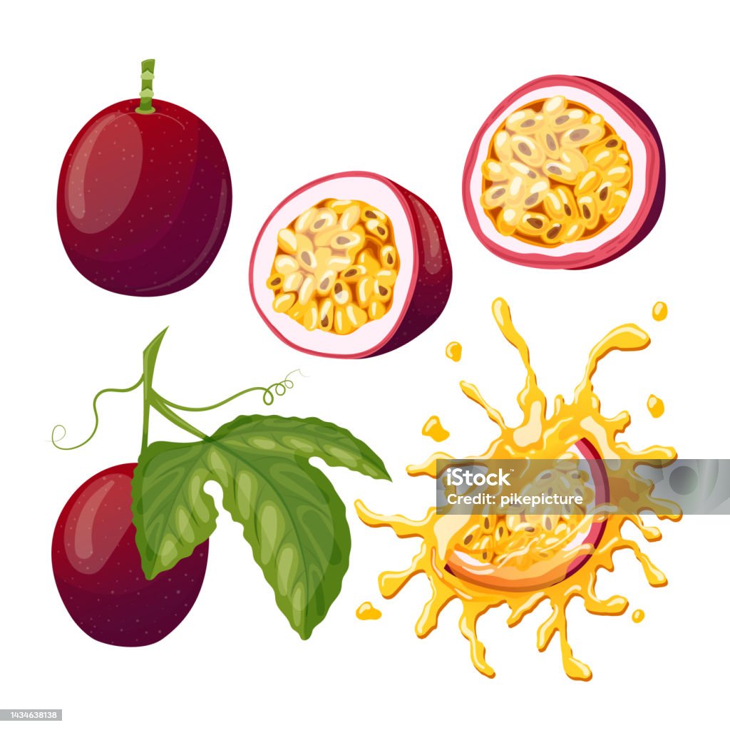 Passion Fruit Set Cartoon Vector Illustration Stock Illustration