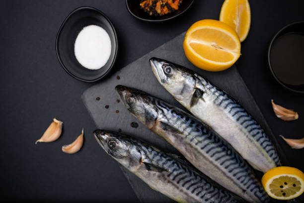 Mackerel Pictures | Download Free Images on Unsplash