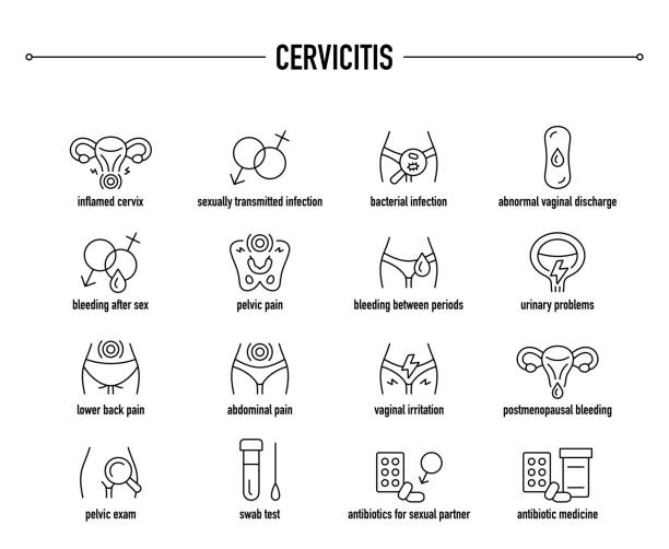 190 Cancer Screening Icon Stock Illustrations Royalty Free Vector