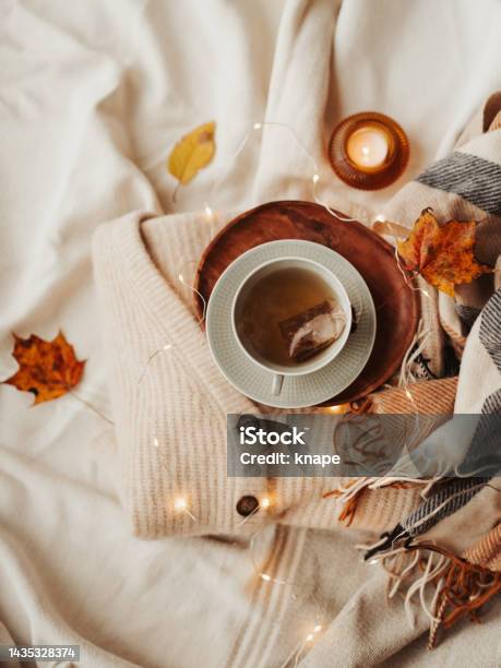 Photo Libre De Droit De Tasse De Thé Dautomne Confortable Nature Morte Avec Pulls Doux Et