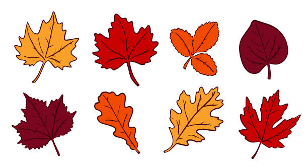40+ Buckeye Tree Cartoon Stock Photos, Pictures & Royalty-Free Images ... 40+ Buckeye Tree Cartoon Stock Photos, Pictures & Royalty-Free Images ...