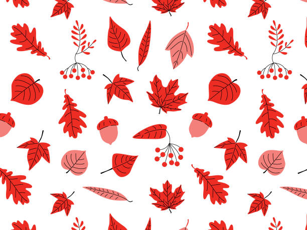 40+ Buckeye Tree Cartoon Stock Photos, Pictures & Royalty-Free Images ... 40+ Buckeye Tree Cartoon Stock Photos, Pictures & Royalty-Free Images ...