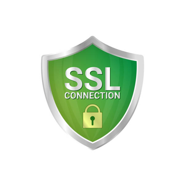 1 600 Ssl Certificate Stock Illustrations Royalty Free Vector