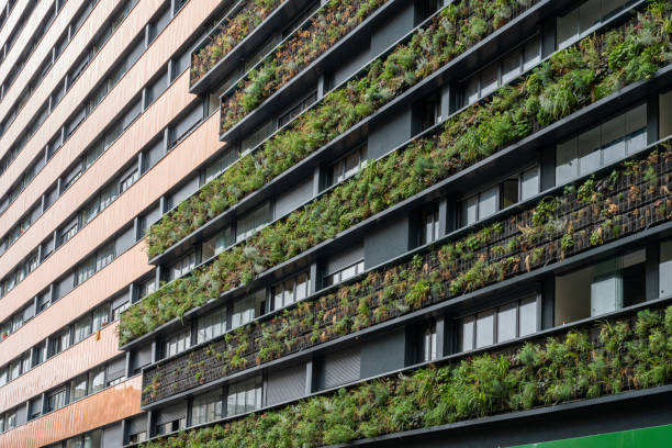 Free Stock Photo of Lush green living walls on urban buildings ...