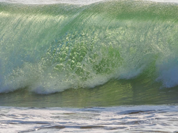 Green Wave Pictures | Download Free Images on Unsplash
