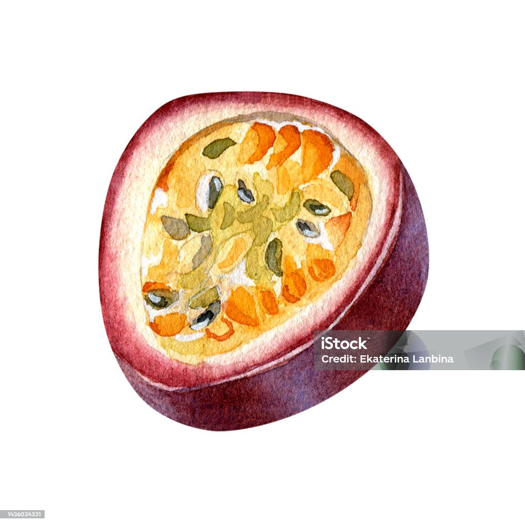 Passion Fruit Watercolor Illustration Isolated On White Background