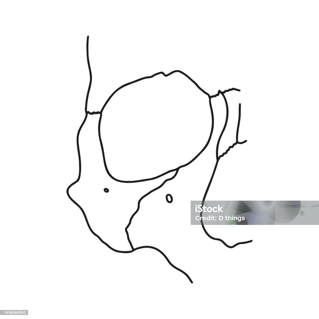 Human Eye Socket Front View Stock Illustration Download Image Now Anatomy Binary Code