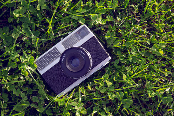 Analogue Film Pictures | Download Free Images on Unsplash