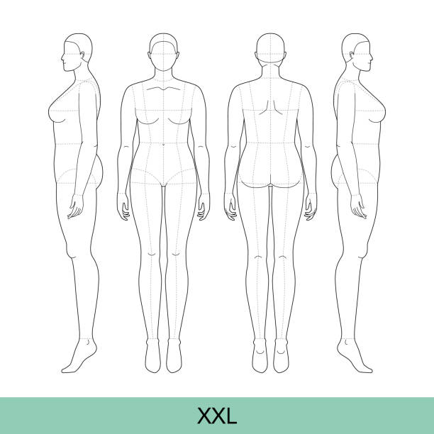 380 Croquis Sketches Stock Illustrations Royalty Free Vector Graphics