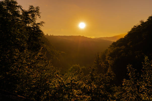 Wierschem, Germany Pictures | Download Free Images on Unsplash