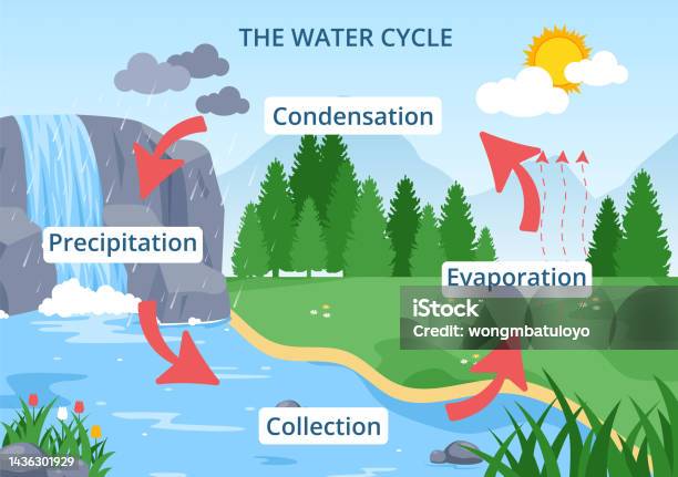 Cycle De Leau De Lévaporation De La Condensation Des Précipitations À