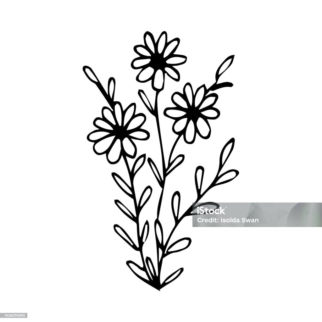 Hand Drawn Botanical Flower Doodle Element For Floral Design Concept