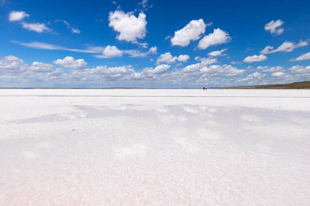 Free picture: Incredible landscape of lakeside at salt plateau in ...