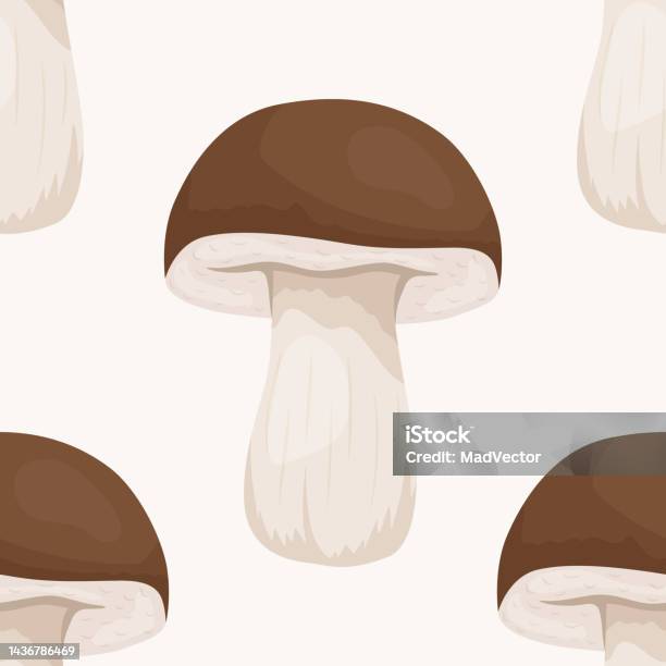 Vector Seamless Pattern With Bolete Mushroom On White Seamless Texture