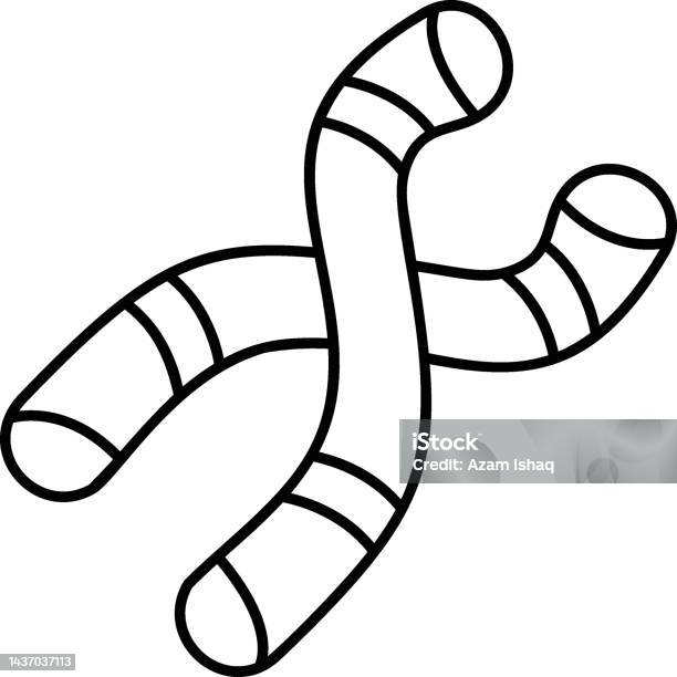 Concept De Chromosome X Y Icône De Contour Vectoriel Histones Design