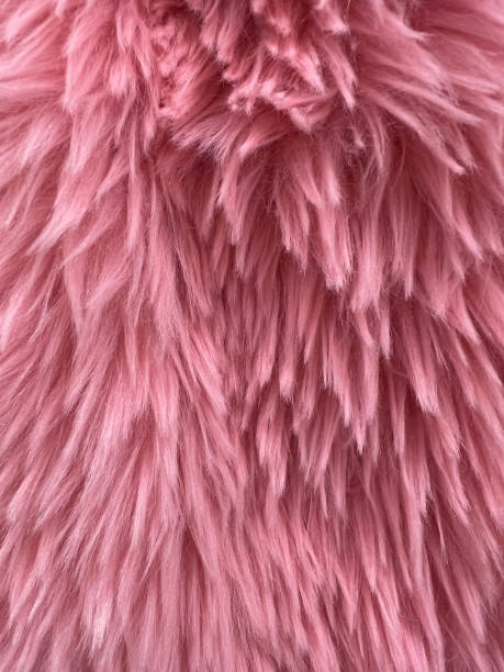 Free Stock Photo of Pink fluffy animal fur texture | Download Free ...
