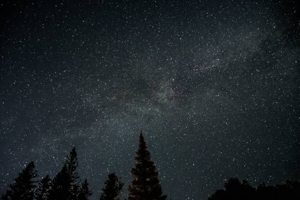 Stargaze Pictures | Download Free Images on Unsplash