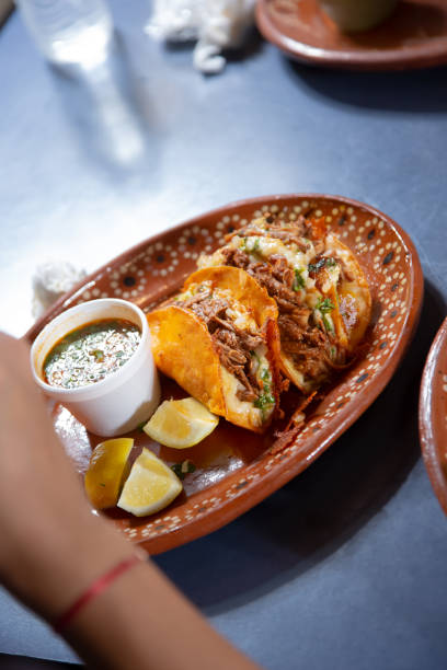 Birria Pictures | Download Free Images on Unsplash