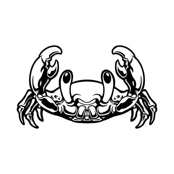 Stone Crab Clipart